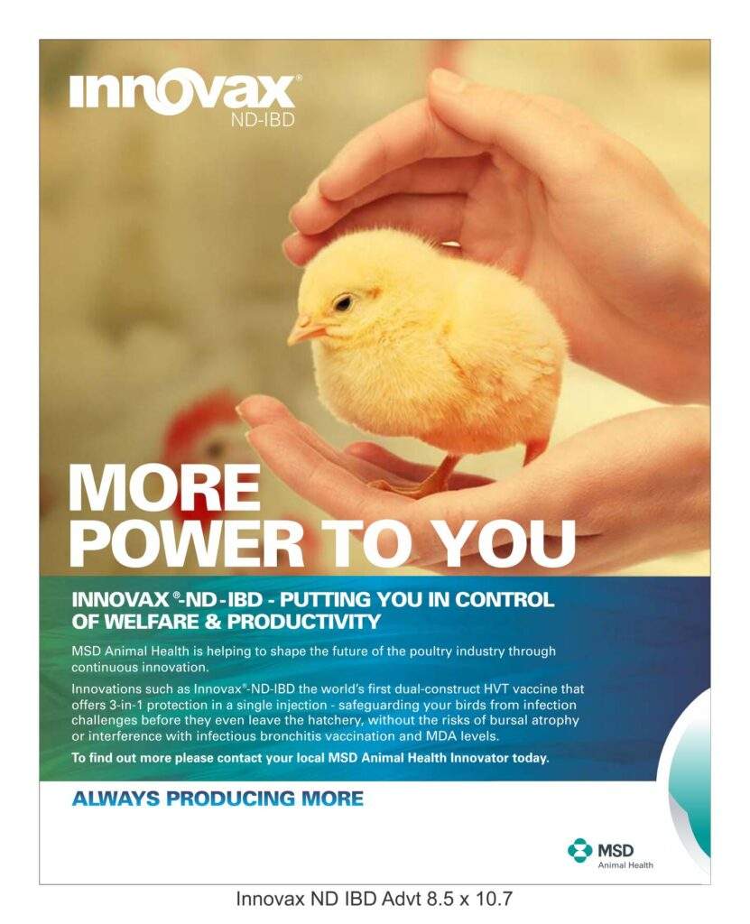 Innovax ND IBD Advt 8.5 x 10.7_FINAL_CC – Poultry India Book